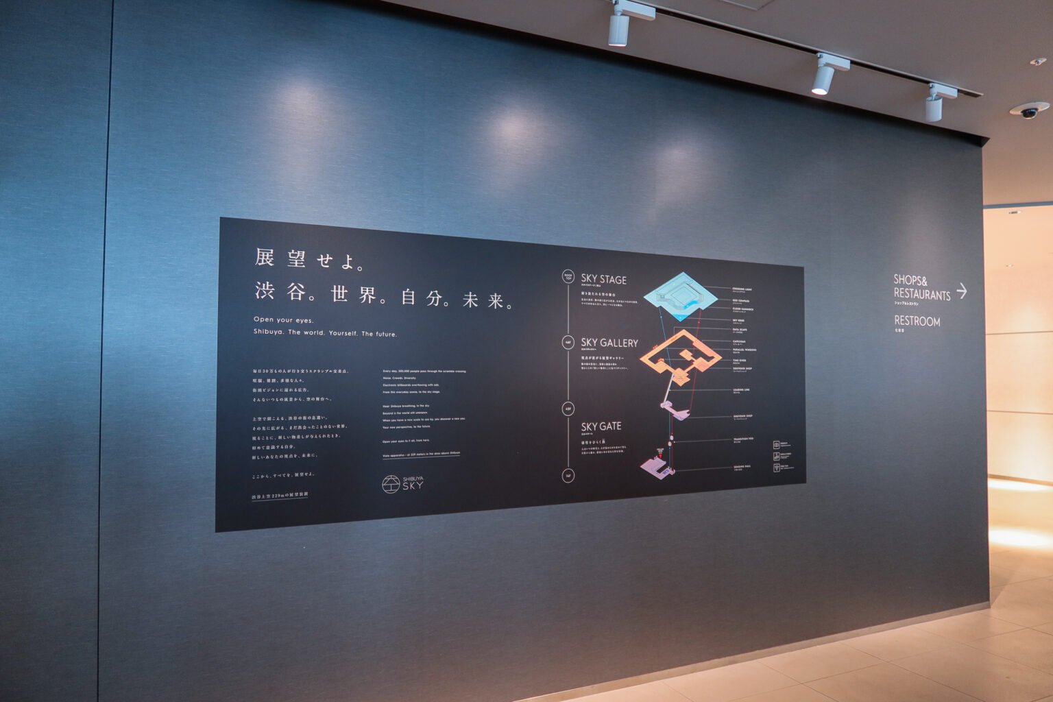 SHIBUYA SKY 攻略｜東京澀谷景點｜門票預約、入場時間、拍照